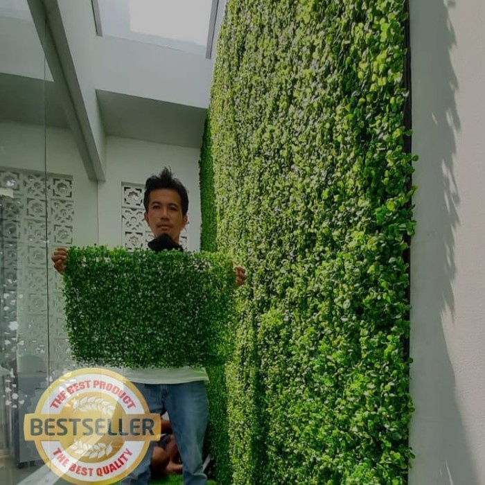 Jual Daun Rambat Sintetis Dolar Dolaran 50x50 Cm Lebih Rapat Dan Padat ...