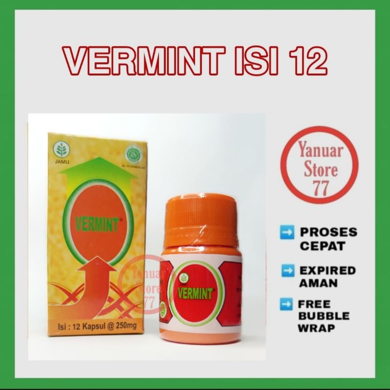 Jual Vermint | Vermin | Obat Sakit Tifus / Tipes / Typus isi 12 Kapsul ...