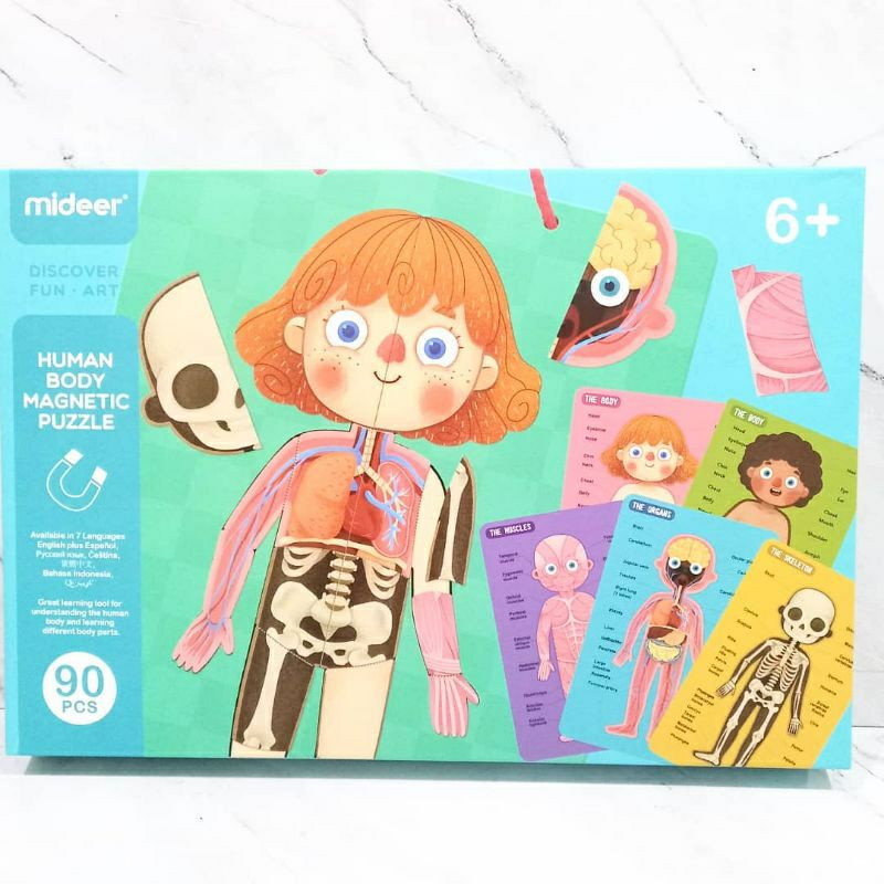 Jual Human body magnetic puzzle (mideer) | Shopee Indonesia