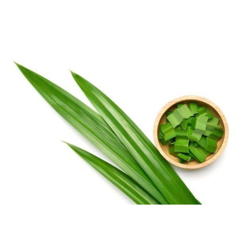Jual Daun Pandan | Daun Pandan Wangi | Daun Pandan Fresh | Shopee Indonesia