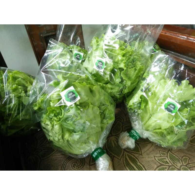 Jual Plastik Packing Sayuran Hidroponik | Shopee Indonesia