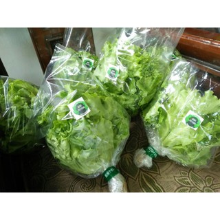 Jual Stiker Kemasan Pack Sayuran Hidroponik | Shopee Indonesia