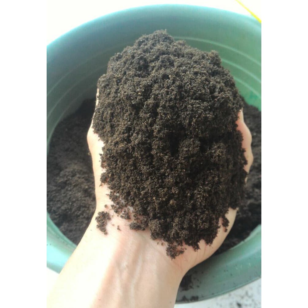 Jual Pupuk Hijau / Kompos / Pupuk Organik Azolla Microphylla Murni 100% ...