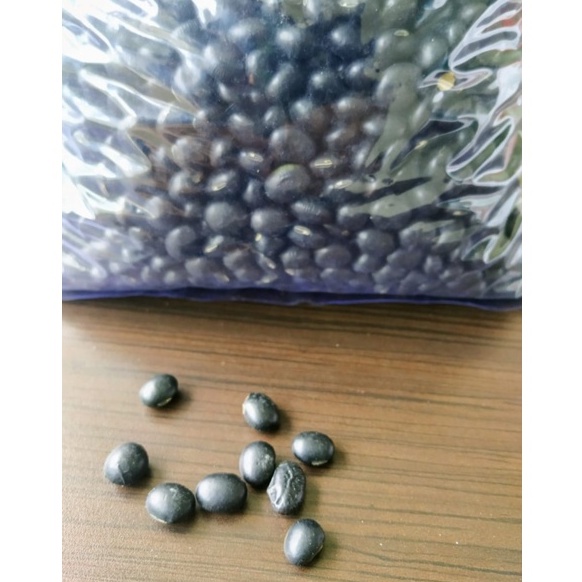 Jual Kcg Kedelai Hitam 5 KG / Kacang Kedelai Hitam 5 KG | Shopee Indonesia