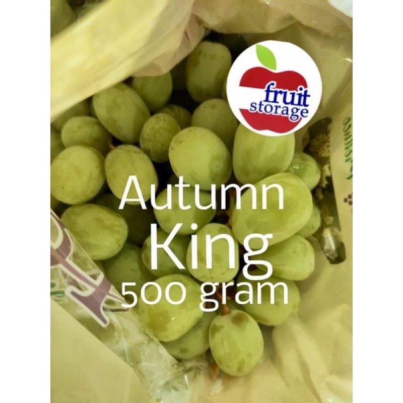 Jual Anggur Hijau tanpa biji Seedless Import buah Shine Muscat impor ...