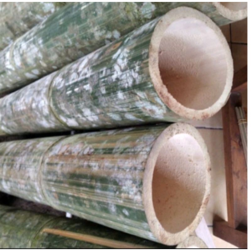 Jual bambu besar diameter 12-14 cm langka 70 cm | Shopee Indonesia