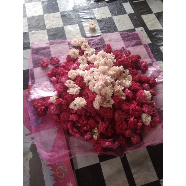 Jual Bunga mawar tabur 1 biji / 1 kuntum | Shopee Indonesia