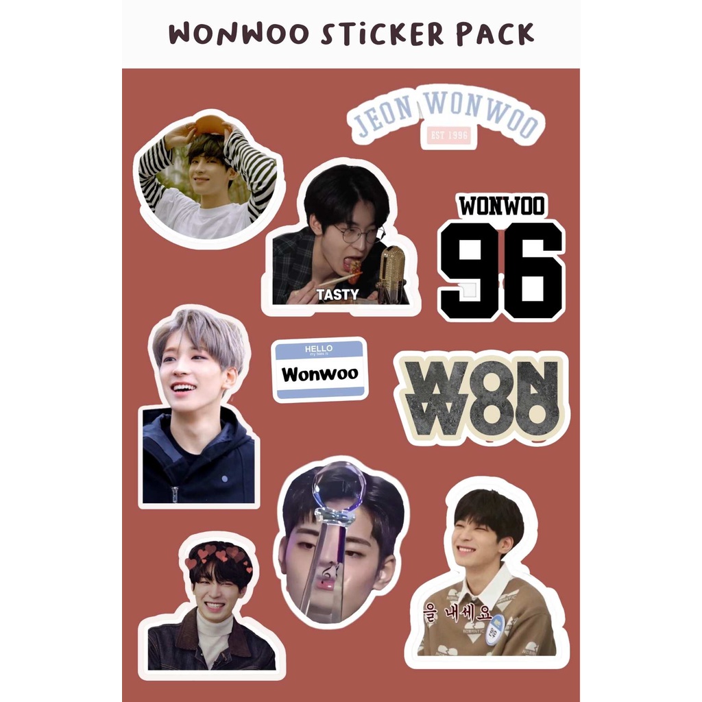 Jual sticker WONWOO SEVENTEEN kpop aesthetic | Shopee Indonesia
