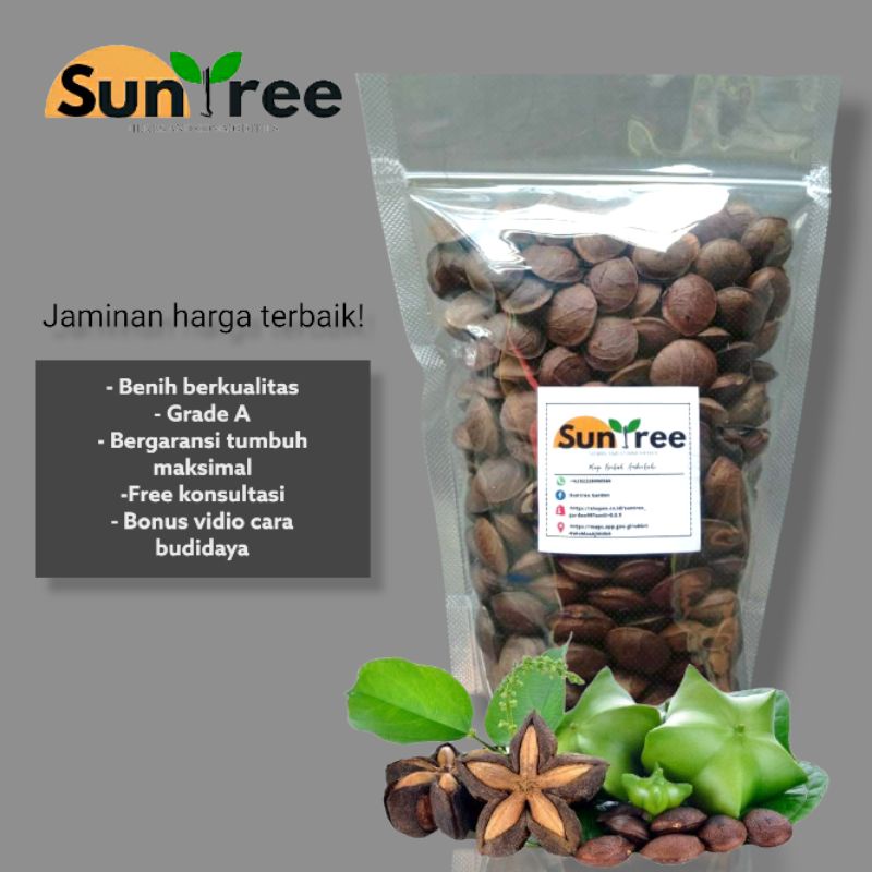 Jual Benih kacang sacha inchi (GRADE A) 1kg | Shopee Indonesia