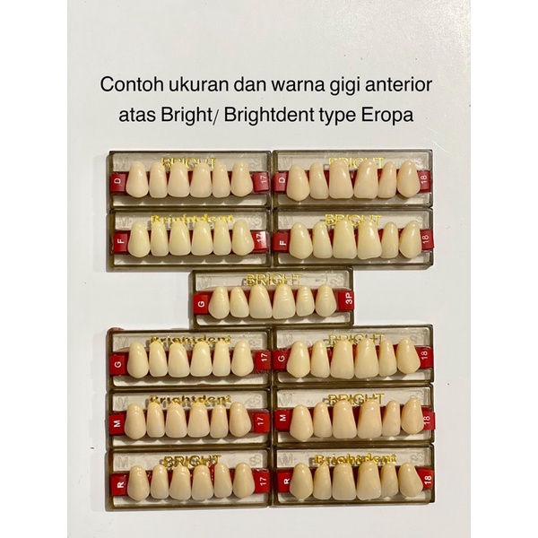 Jual PROMO 1box Gigi palsu Depan Bright/ Brightdent type Eropa | Shopee ...