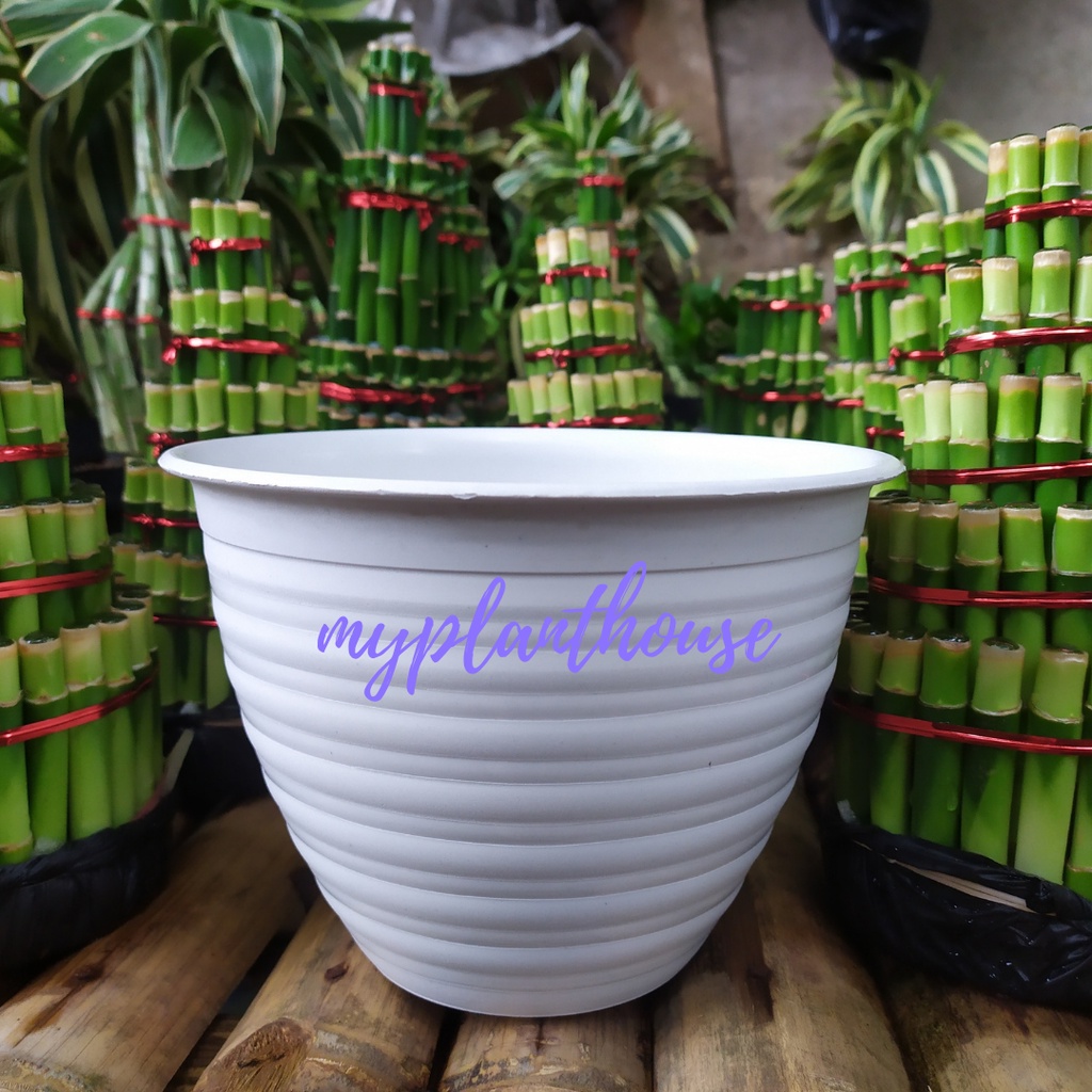 Jual Pot Tawon 18 Putih | Pot Plastik Model Tawon | Pot Tanaman Bunga ...