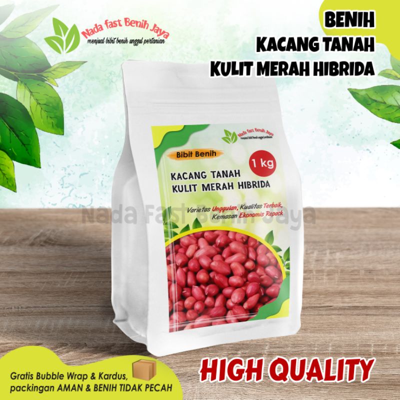 Jual Benih Kacang Tanah Kulit Merah Unggul 1KG – Kemasan Original Nada ...