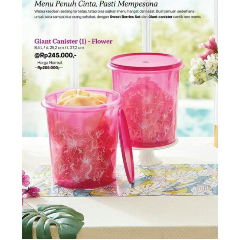 Jual Giant canister flower tupperware | Shopee Indonesia