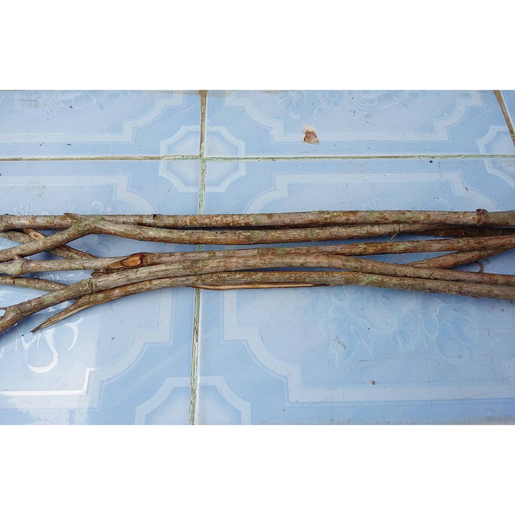 Jual Kayu Tangkringan Burung Kayu Tembesu Panjang 40 Cm | Shopee Indonesia