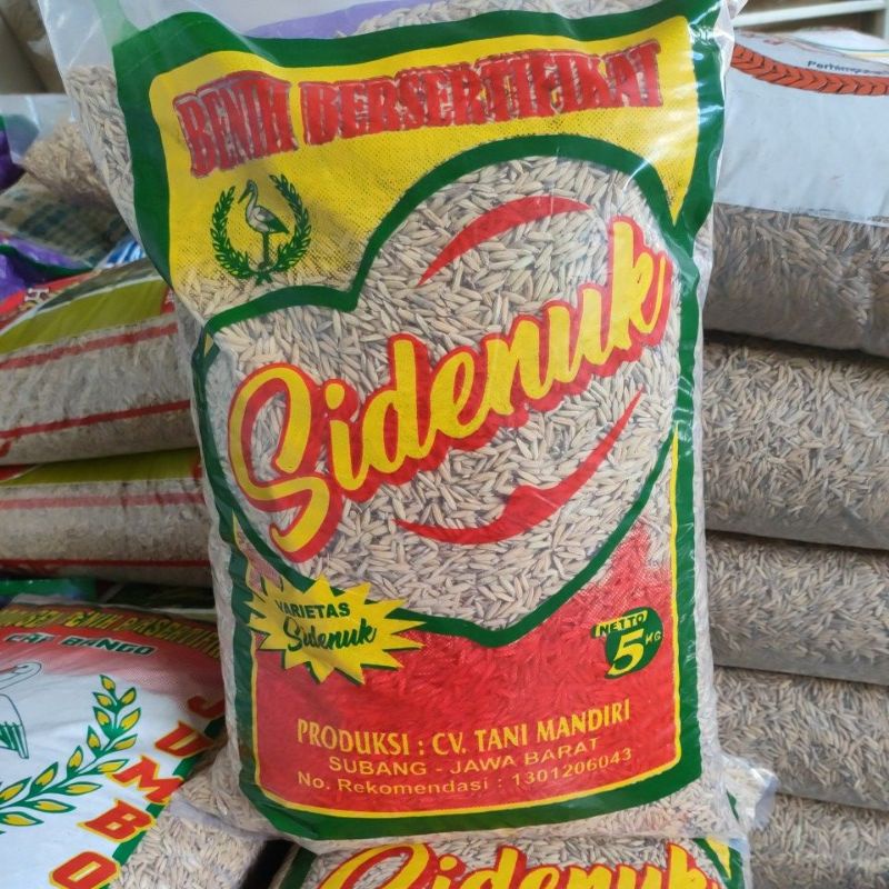 Jual Benih Padi Unggul Bersertifikat Inpari Sidenuk Label Ungu 5 kg ...