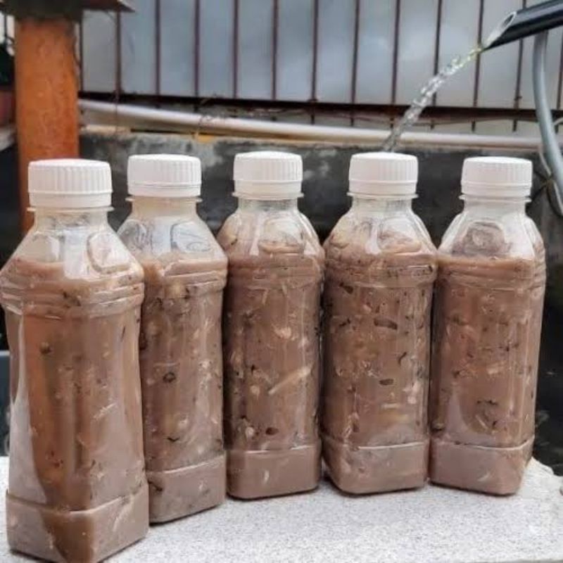 Jual RUSIP BANGKA | Shopee Indonesia