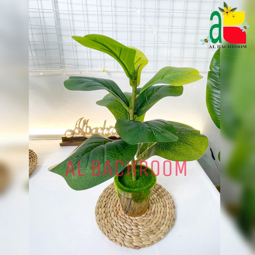 Jual TANAMAN PLASTIK DAUN KETAPANG MINI B8211 D9 DAN D15 BUNGA ...