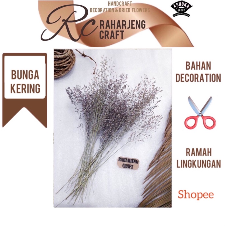 Jual 090 || 10 Tangkai Dried flowers / Bunga rumput kering buket hiasan ...