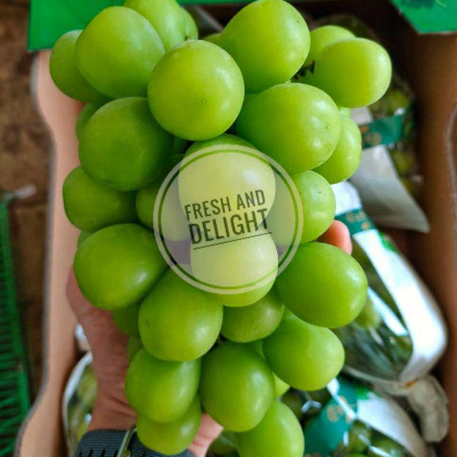 Jual Anggur Shine Muscat Seedless Premium | Shopee Indonesia