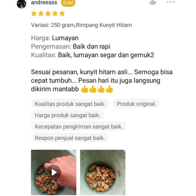 Jual Kunyit Hitam Kunyit Hitam Asli Kunyit Hitam Rimpang Kunyit Hitam ...