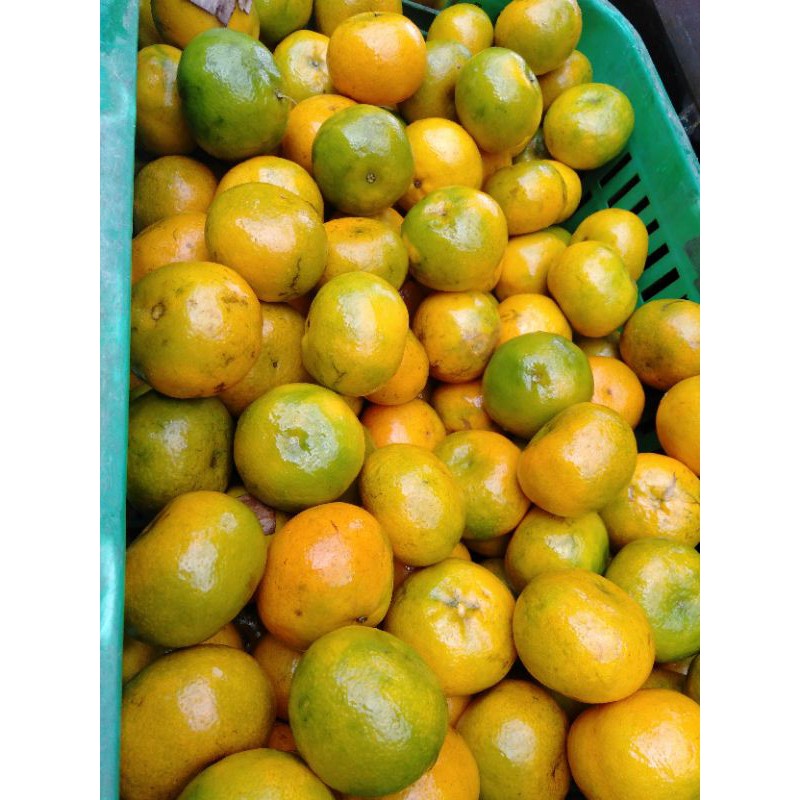 Jual Jeruk medan satu box berat 7 kg isi buah 80 buah | Shopee Indonesia