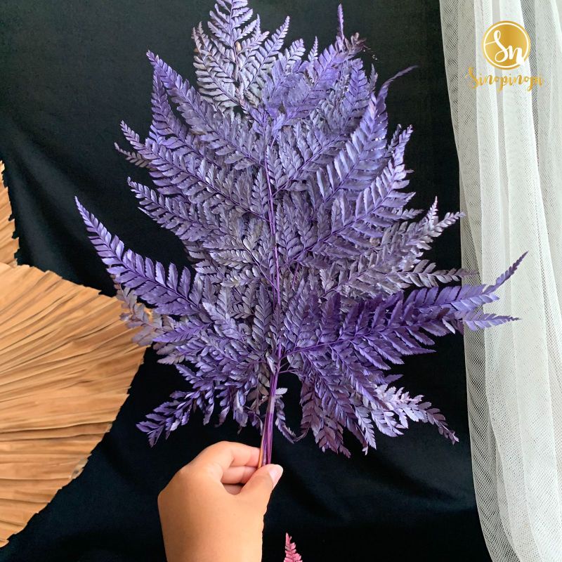 Jual BUNGA DAUN PAKIS | DRIED FLOWER RUSTIC TANAMAN LAMARAN NIKAH ...