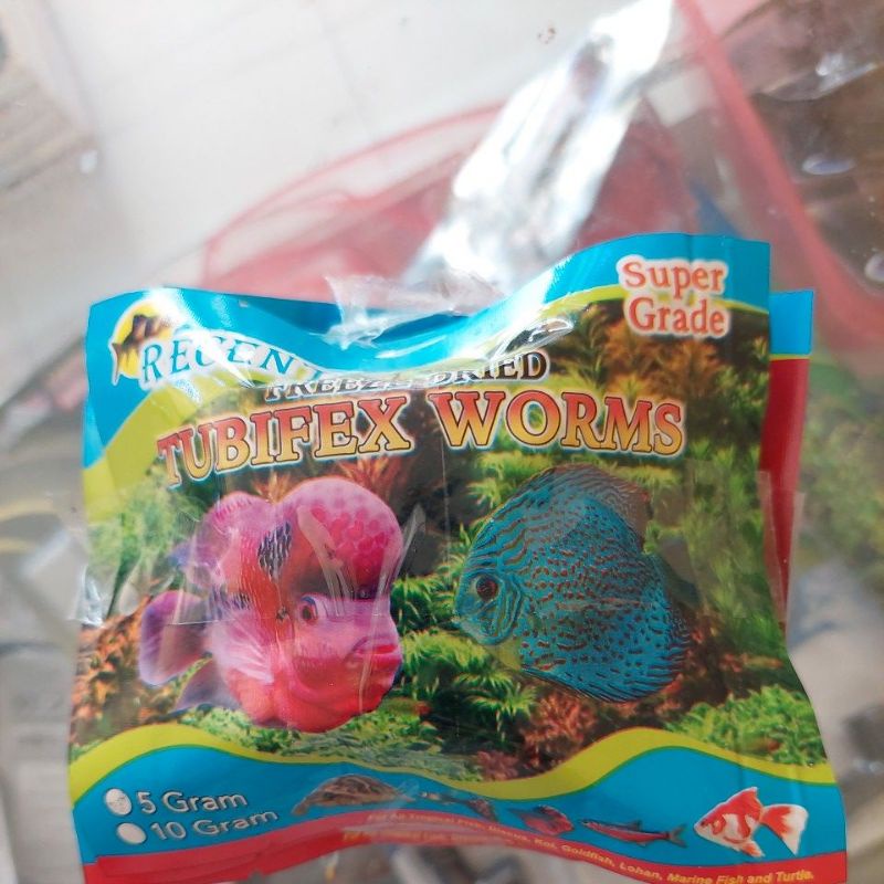 Jual Cacing kering pakan ikan Predator lohan palmas discus dll Cacing ...