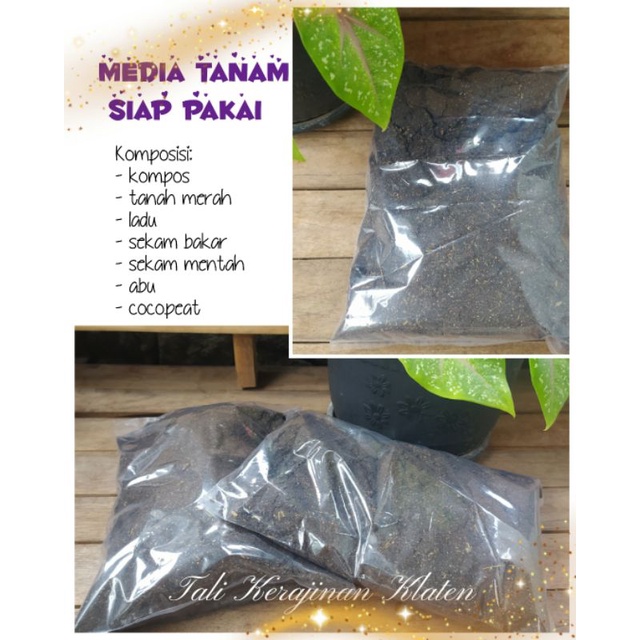Jual media tanam siap pakai | Shopee Indonesia