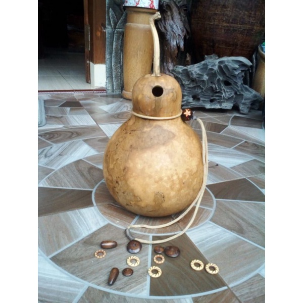 Jual Labu botol / labu hias / labu cina / labu kendi | Shopee Indonesia