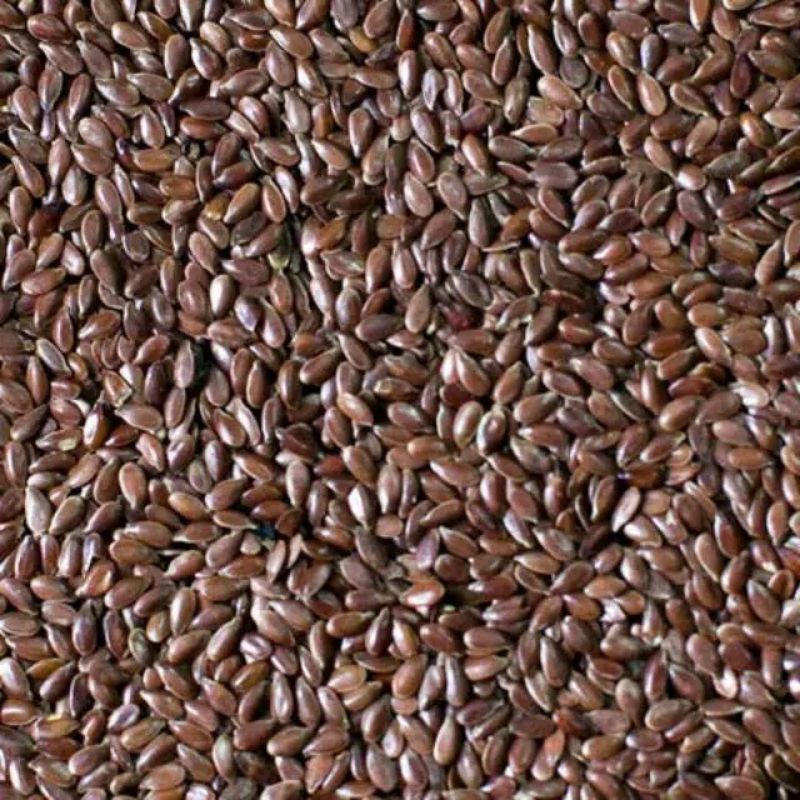 Jual TERMURAH Original Biji Rami - Organic Flax Seeds - Brown Flax ...