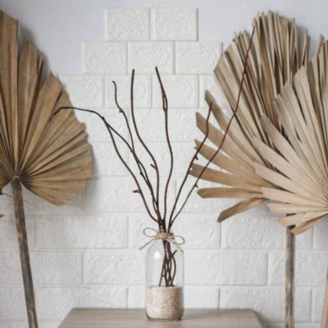 Jual Ranting Kering (5 pcs) Persis seperti Foto Utama | Shopee Indonesia