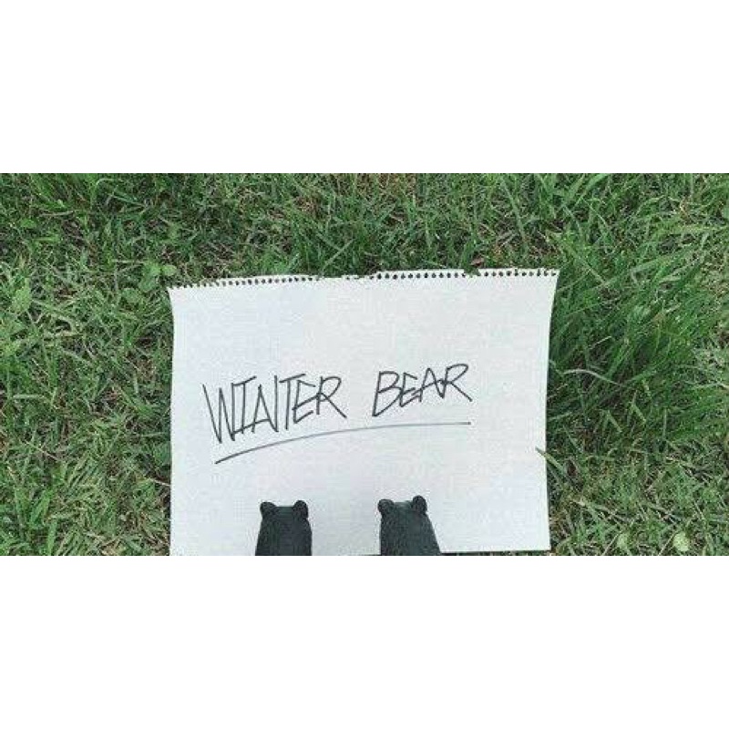 Jual Buku Tata Bear | Shopee Indonesia