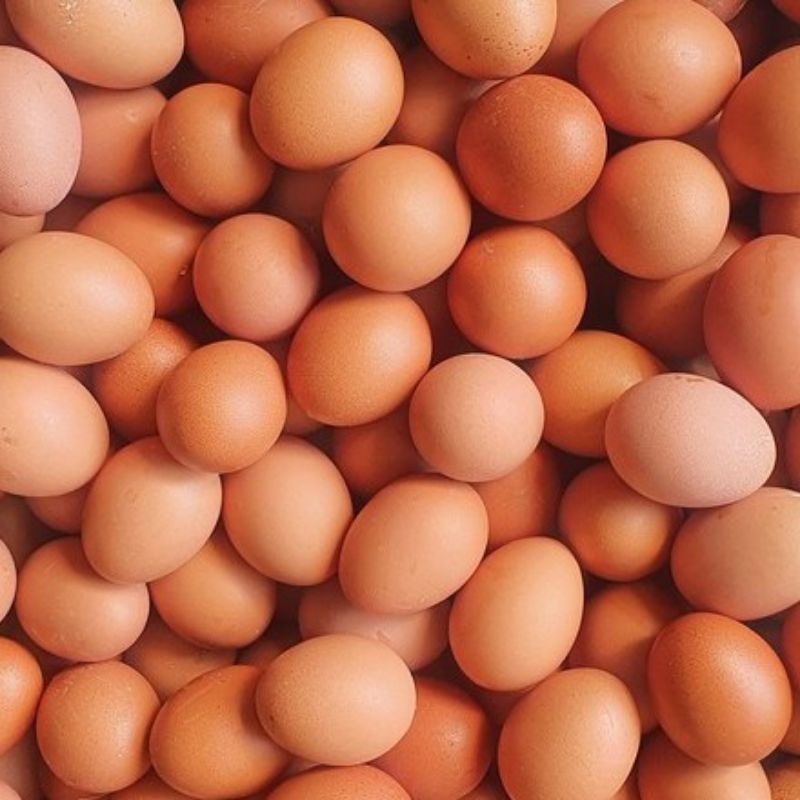Jual Telur Ayam 1Kg | Shopee Indonesia