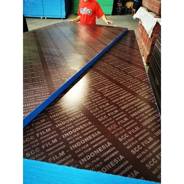 Jual Triplek Phenolic SCC 12mm SF | Shopee Indonesia