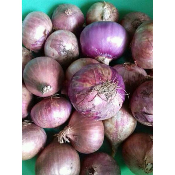 Jual BAWANG MERAH INDIA BAWANG PEKING 1 kg | Shopee Indonesia