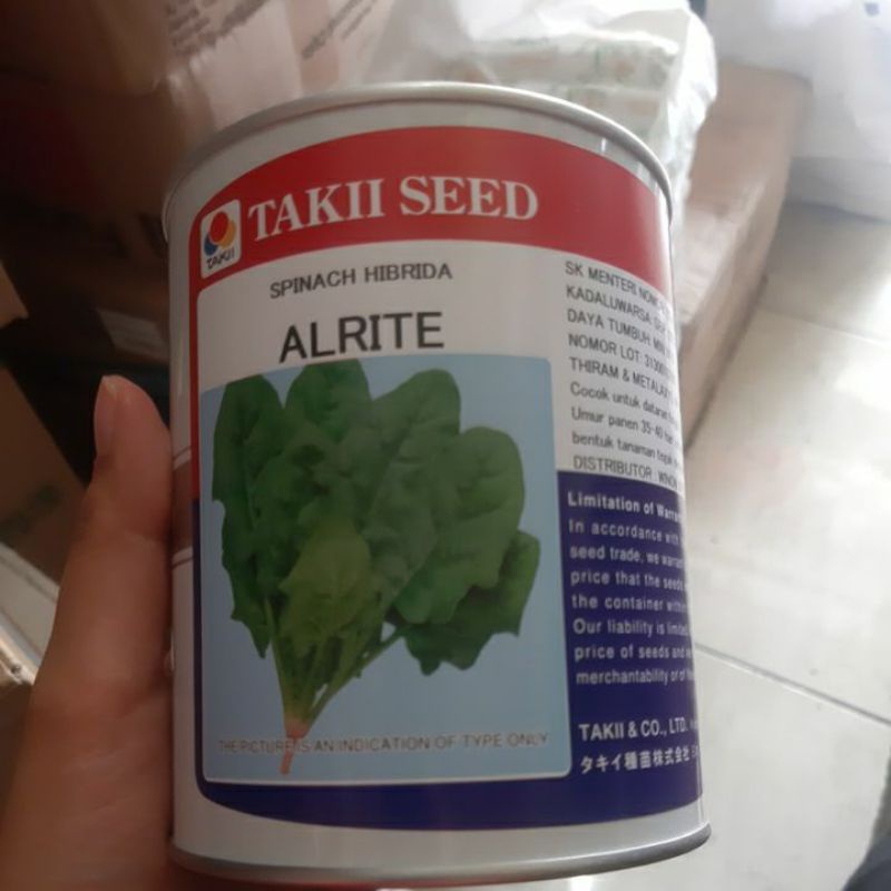Jual benih horenso / bayam jepang ALRITE TAKII SEED 250GR | Shopee ...