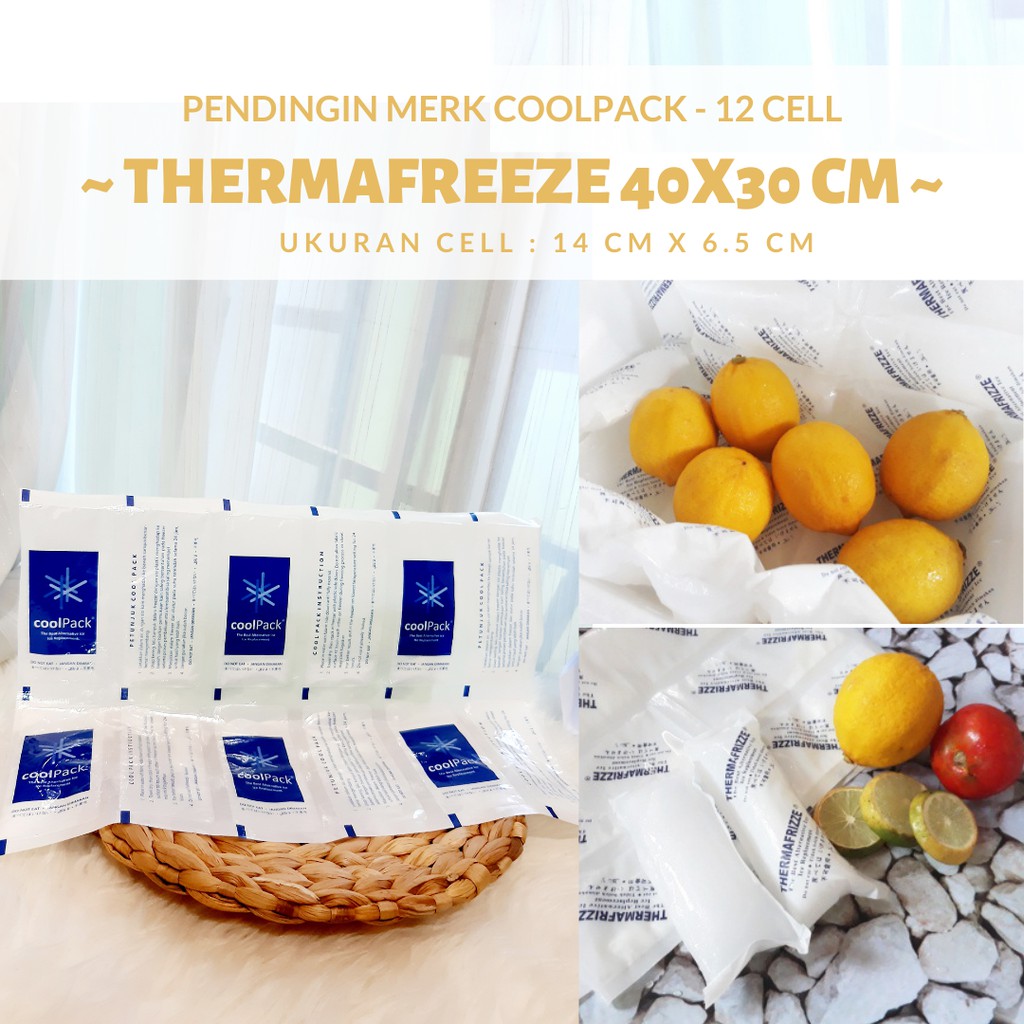 Jual PENGAWETAN SUHU RENDAH / KIRIM FROZEN FOOD / PENGGANTI KULKAS ALAT ...