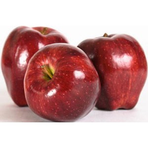 Jual Apel Merah Big Horn Fresh Box 19kg | Shopee Indonesia