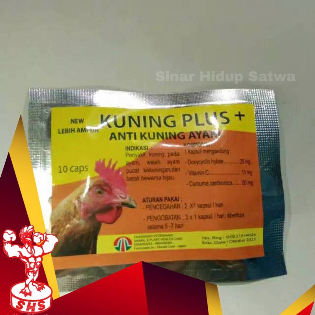 Jual Kuning Plus Obat ayam kuning | Shopee Indonesia