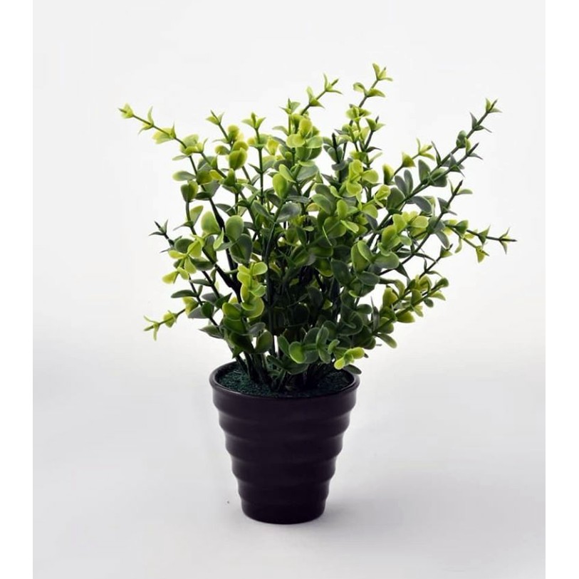 Jual Naindo Bunga tanaman rumput hiasan ruang tamu & kantor pot melamin ...
