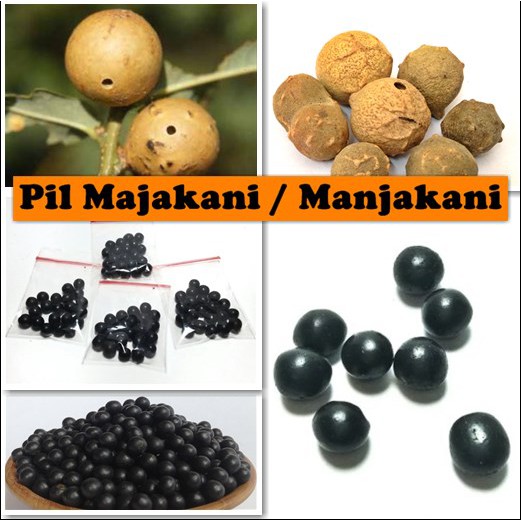 Jual Pil Majakani Manjakani Murni untuk Kewanitaan Keputihan dll per ...