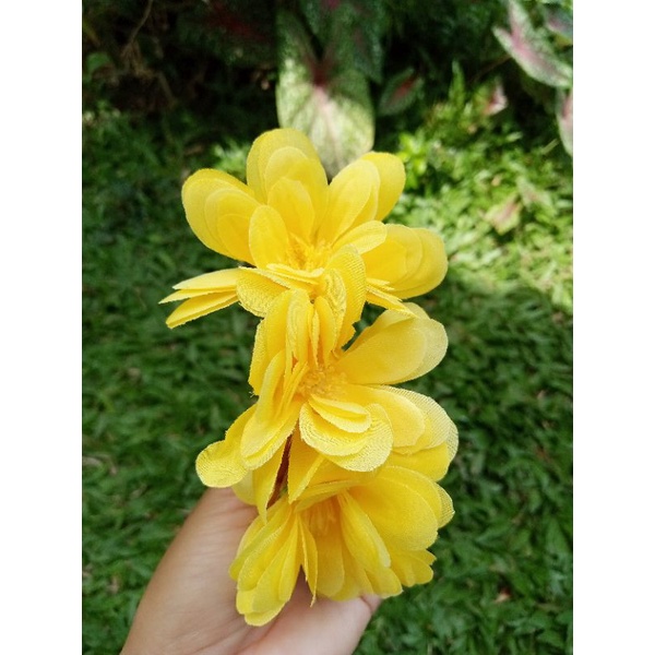 Jual Semanggi/bunga semanggi/bali/semanggi sakura | Shopee Indonesia