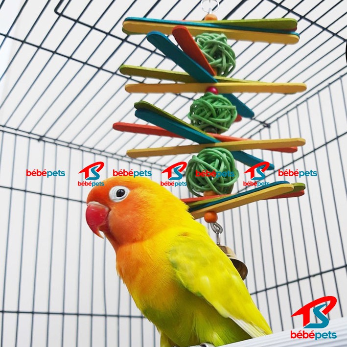 Jual MAINAN BURUNG PARROT PARUH BENGKOK | Shopee Indonesia