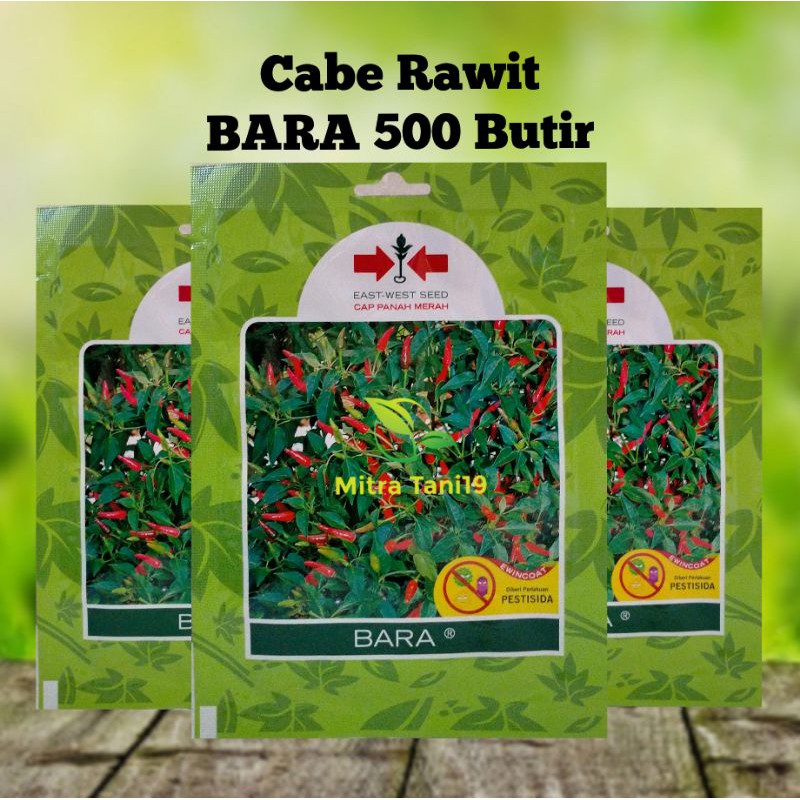 Jual BENIH BIBIT TANAMAN PERTANIAN SAYUR SAYURAN CABE CABAI RAWIT BARA ...