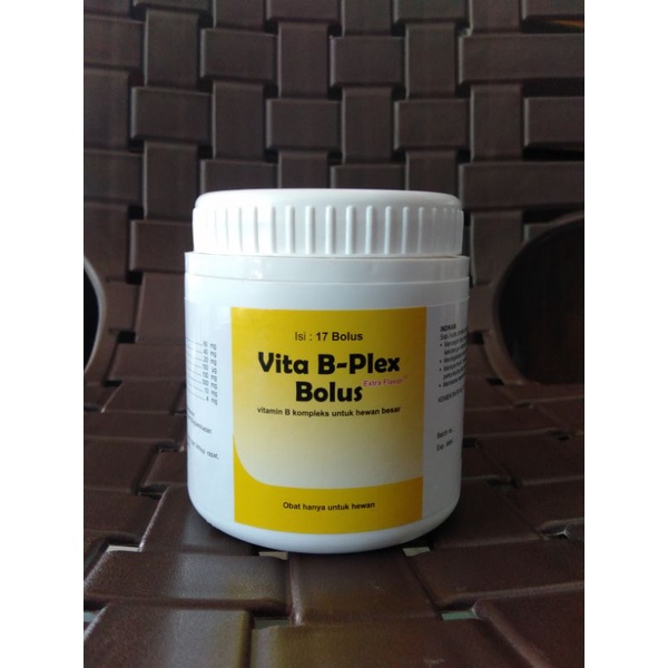 Jual Vita B-plex Bolus Extra Flavour (17 Bolus) | Shopee Indonesia