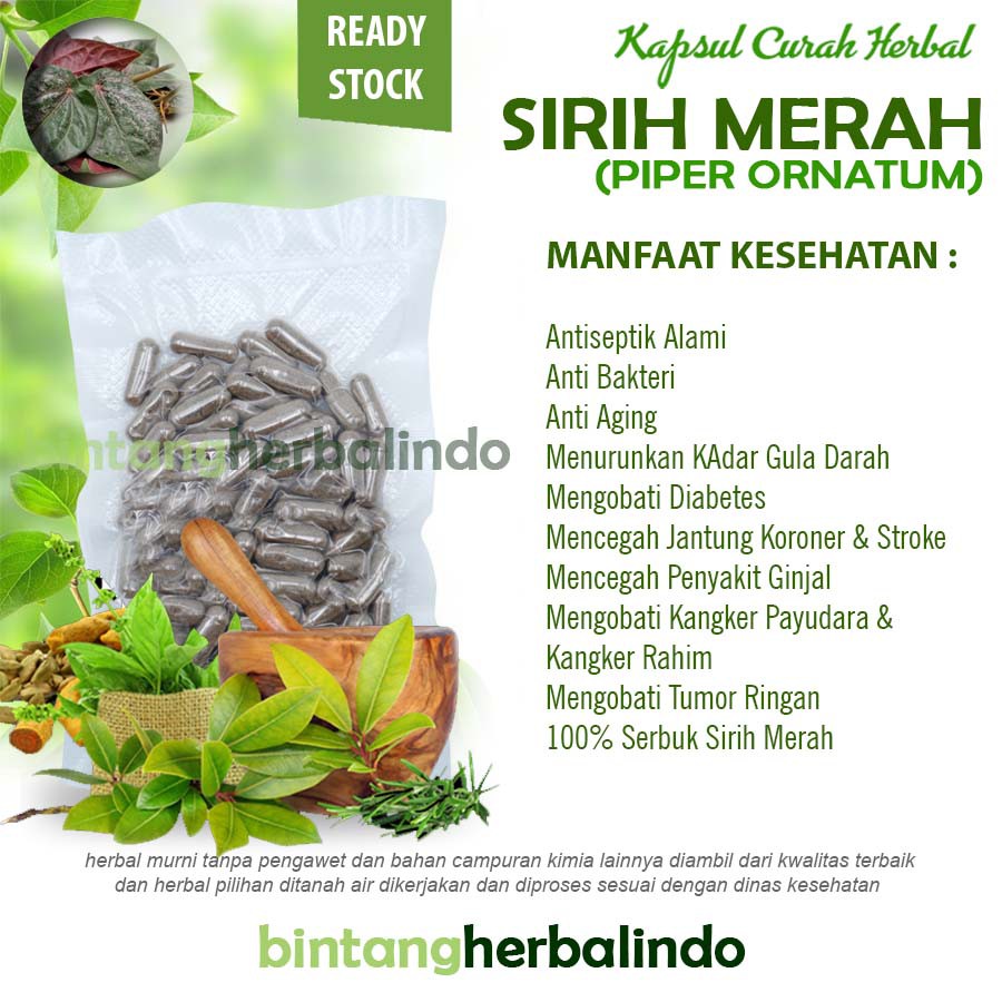 Jual SIRIH MERAH 100 Kapsul Herbal Anti Aging Bau Badan Kanker Rahim ...