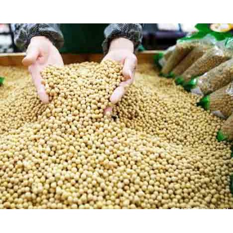 Jual KEDELAI IMPOR AMERIKA 1KG | Shopee Indonesia