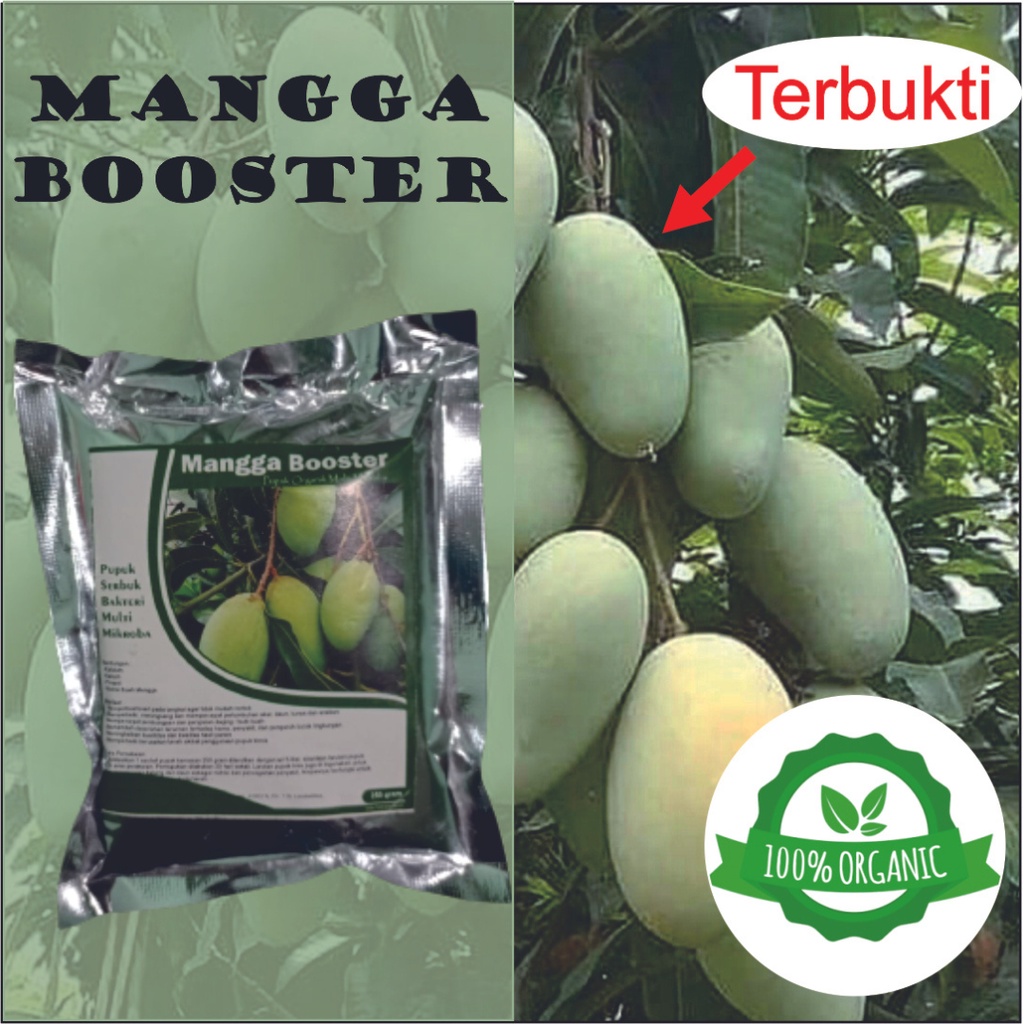 Jual PUPUK BOOSTER MANGGA || PUPUK MANGGA || PERANGSANG BUAH | Shopee Indonesia