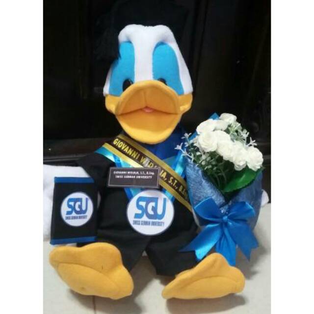 Jual Boneka wisuda donald duck/daisy duck lengkap 40cm | Shopee Indonesia