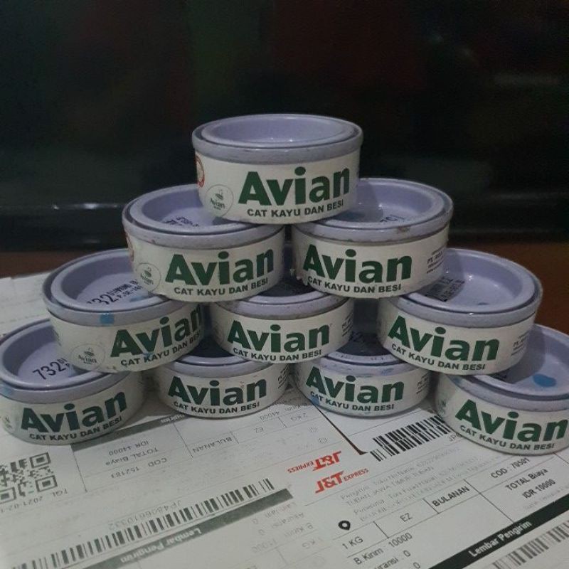 Jual CAT KAYU BESI AVIAN 25cc ANTI KARAT RAYAP PINTU JENDELA KUSEN BESI ...